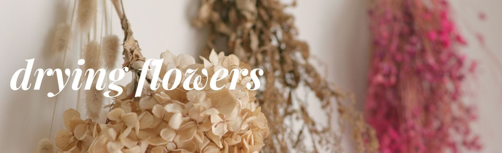Making Dried Flower Arrangements - City Floral Garden Center - Denver ...